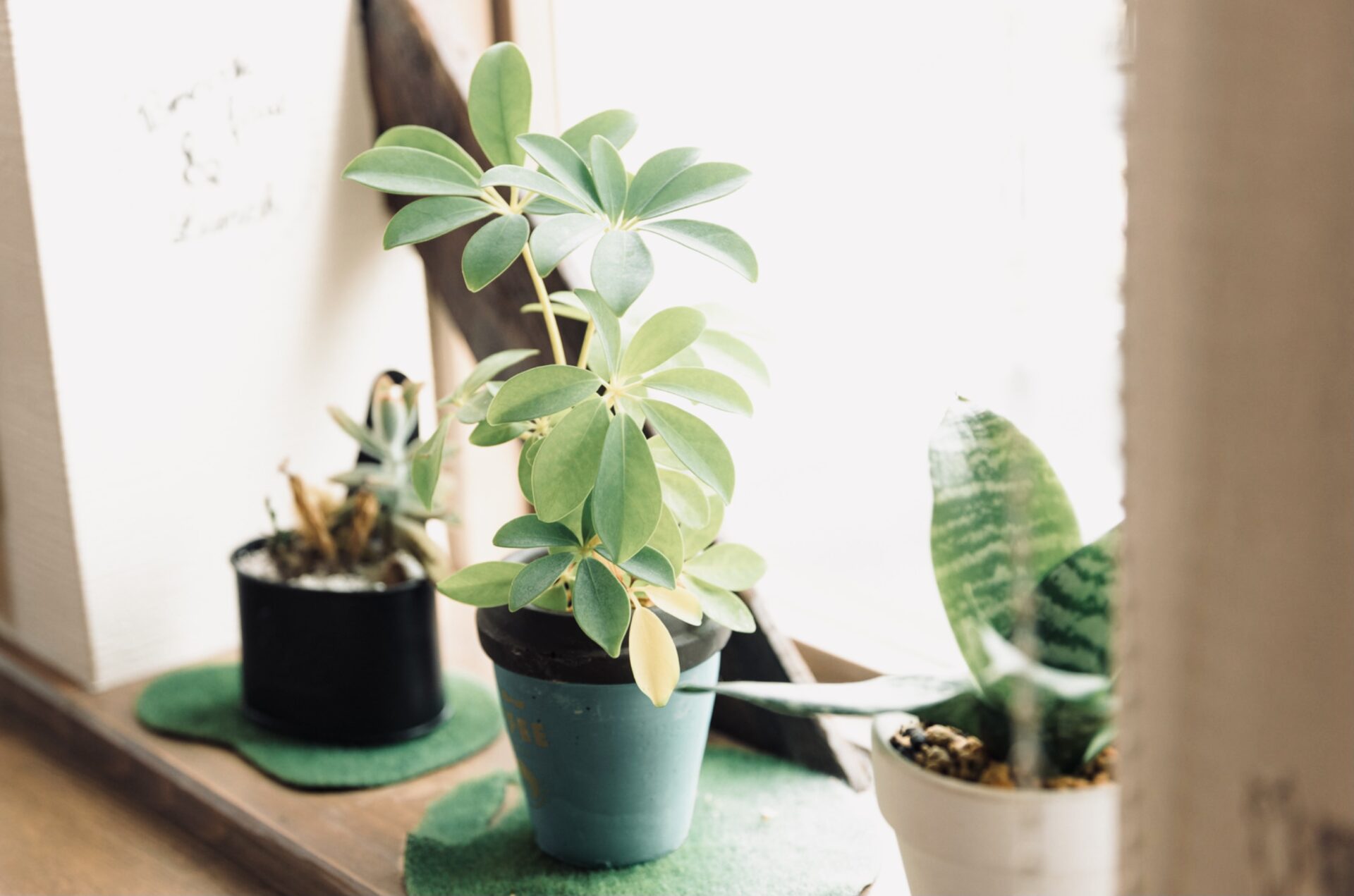 MediaTek MT8183 チップ(SoC) のベンチマークCPU性能は？ 仕様 & 搭載機種は？ | いせみつブログ