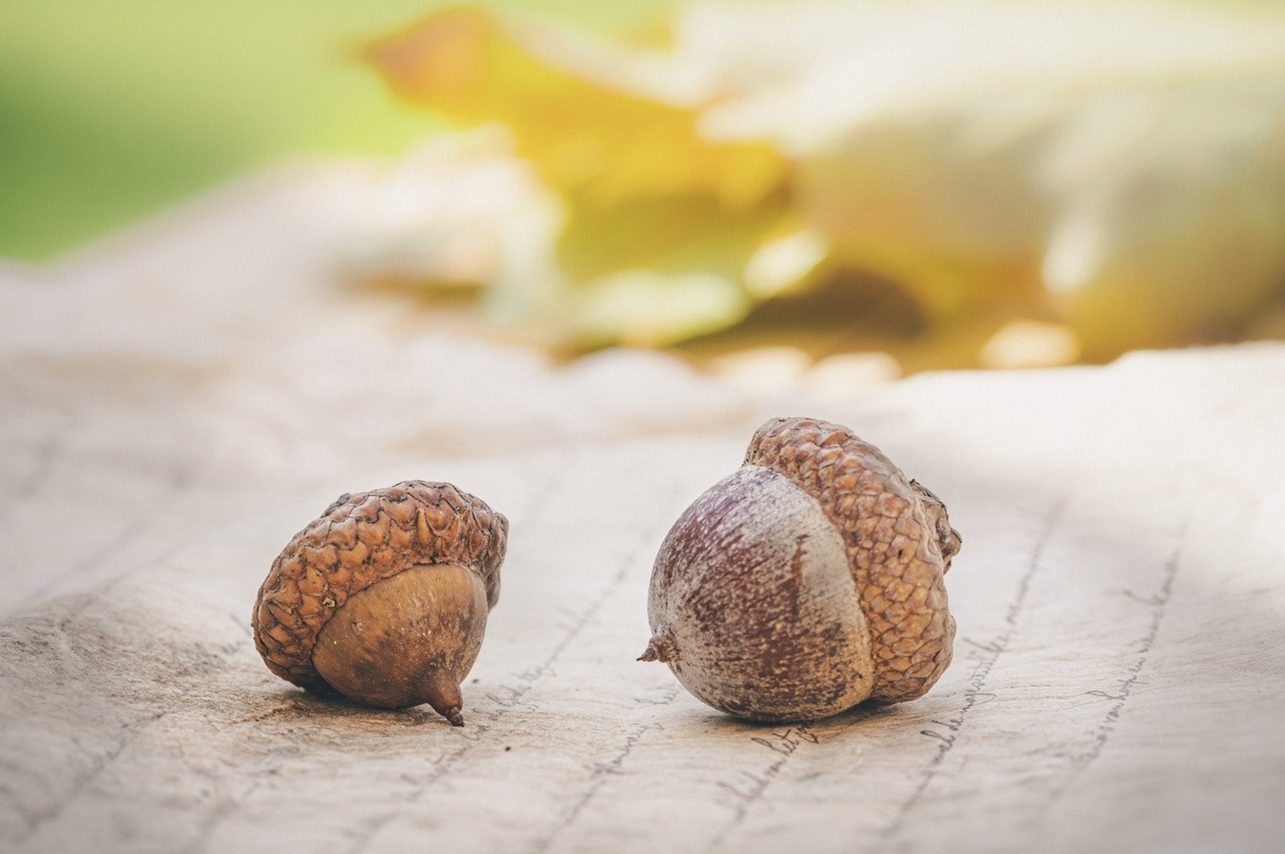 MediaTek Dimensity 7030 チップ(SoC)ベンチマーク CPU/GPU性能は？ 特徴や仕様は？ 搭載SIMフリー ...