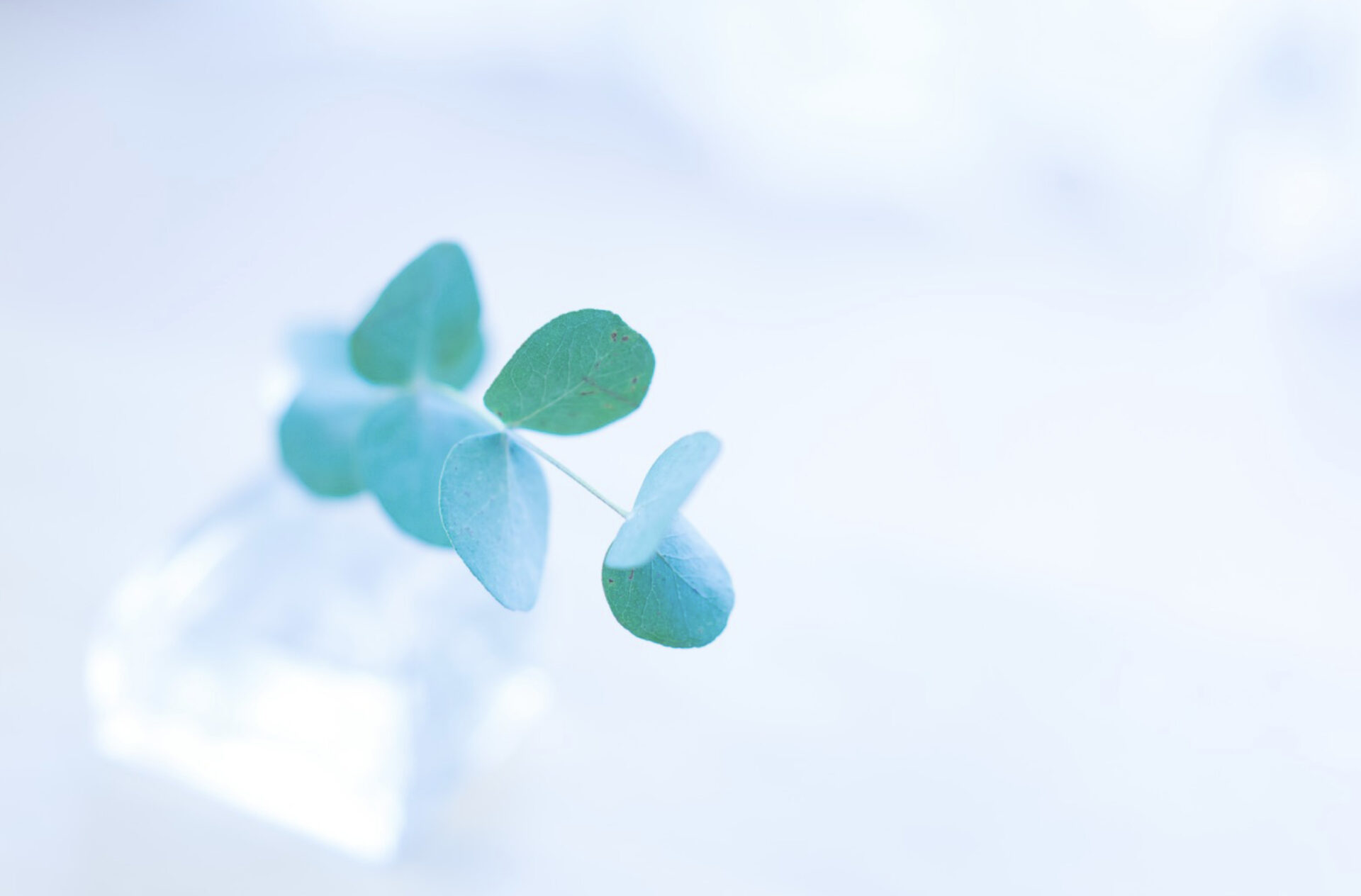 Intel Processor U300 の“ベンチマークCPU性能”はどれくらい？ 気になる仕様 & 搭載パソコンは？ | いせみつブログ